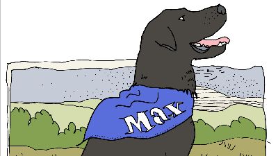 Welton Primary School - Additional Ideas